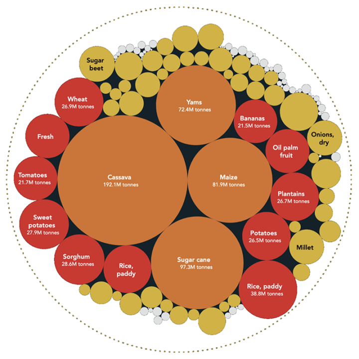 Crops earning cash in Africa – Africa Eats