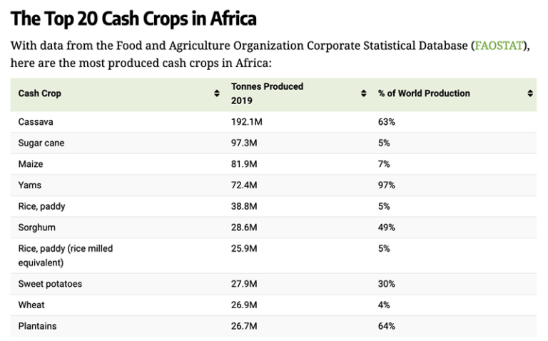 Crops earning cash in Africa – Africa Eats